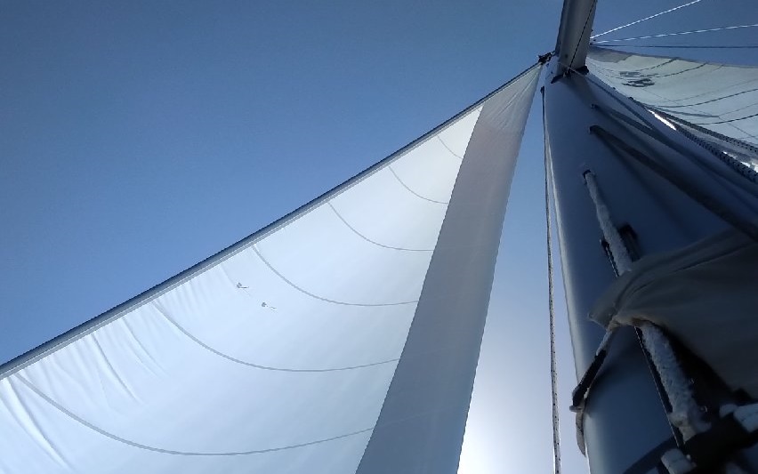 Carib sail 2023.jpg | SpinSheet